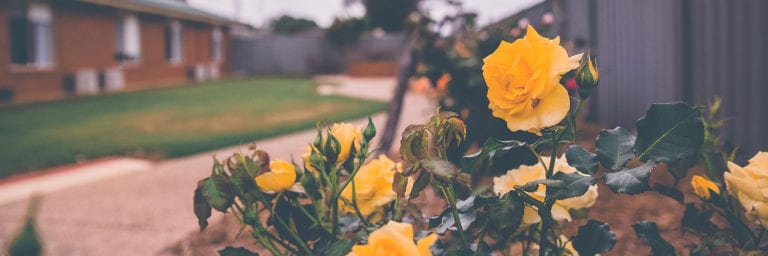 Australia's Biggest Morning Tea - Finley Regional Care